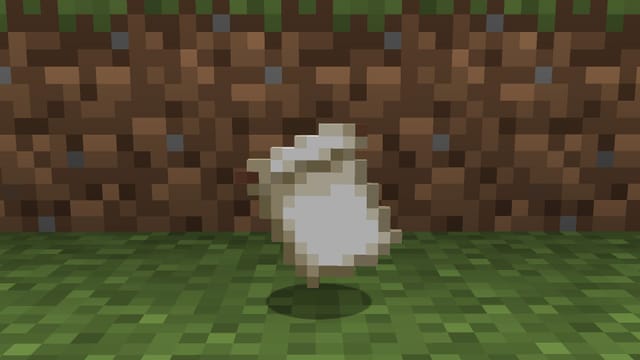 Top 5 rarest items in Minecraft survival (2022)
