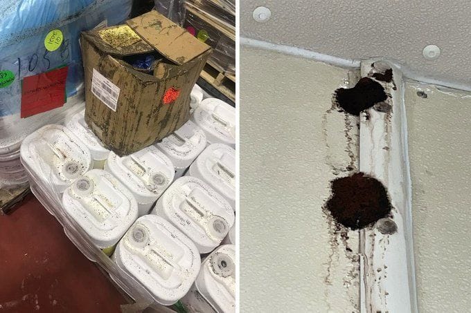 Beyond Meat: Factory plagued by mold, listeria, and unsanitary conditions