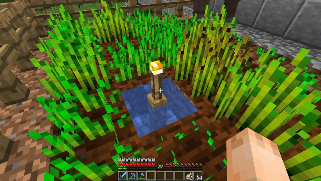 Top 5 things to know about crops in Minecraft