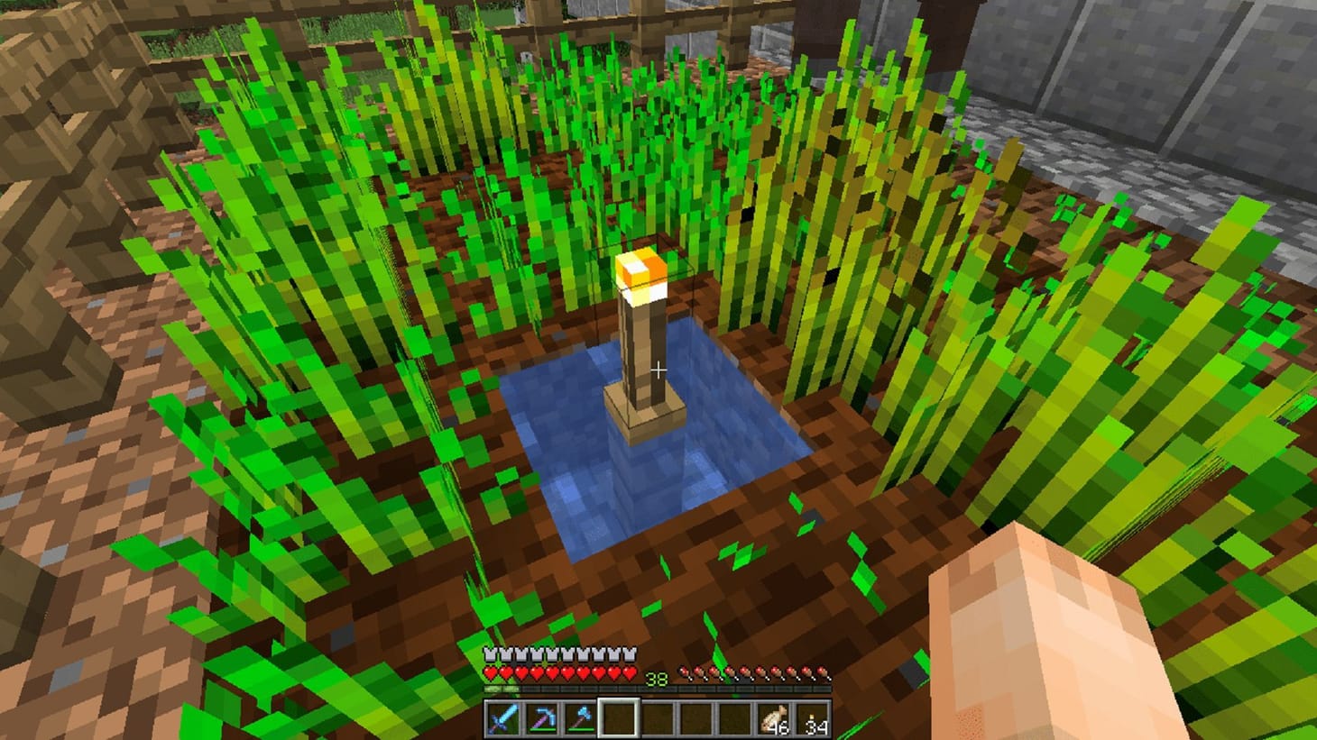 Top 5 things to know about crops in Minecraft