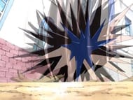 Toge Toge no Mi Devil Fruit in One Piece