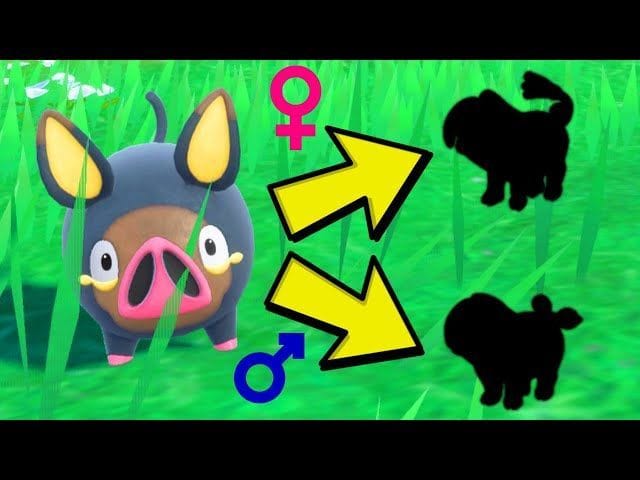 Pokemon Scarlet and Violet: Where to find and catch a Lechonk and how ...
