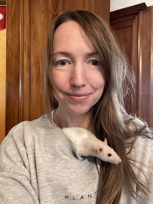 What does ‘rat verified’ mean on Twitter? Netizens unite against Elon ...