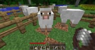 What are the rarest sheep colors in Minecraft?