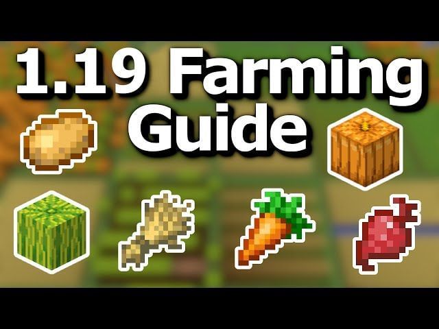 Top 5 things to know about crops in Minecraft
