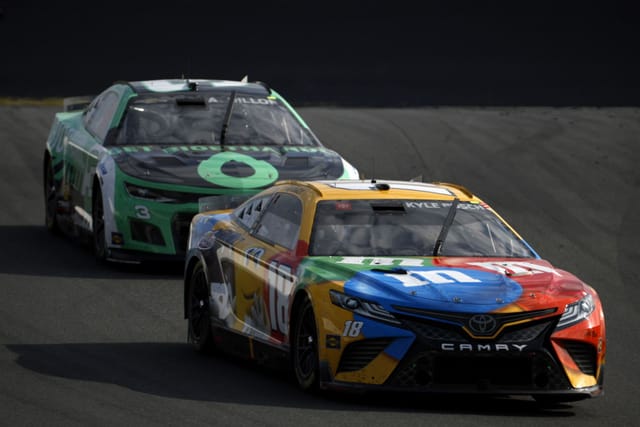 Kyle Busch 'is already wearing everybody out at RCR', says Austin Dillon