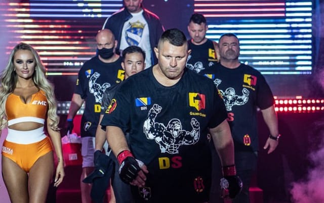 What is the UFC record of heavyweight fighter Denis Stojnic, who was ...