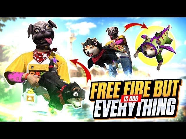 What is Happy Prince Gaming's Free Fire MAX? Stats, K/D ratio, headshot ...