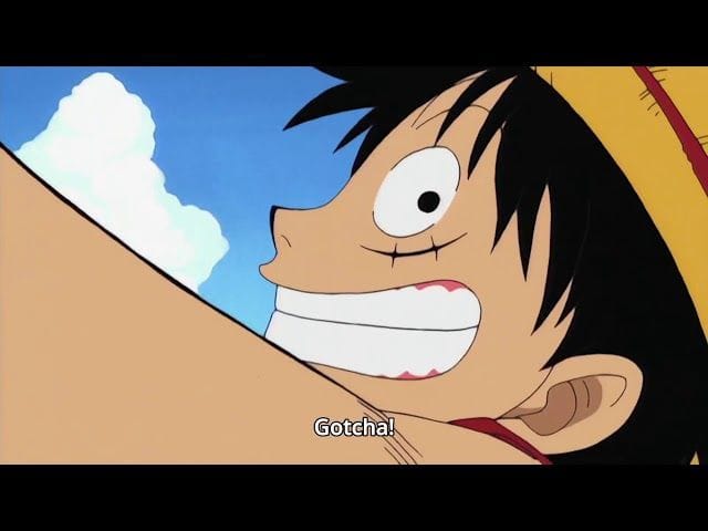 Gomu Gomu no Mi Devil Fruit in One Piece