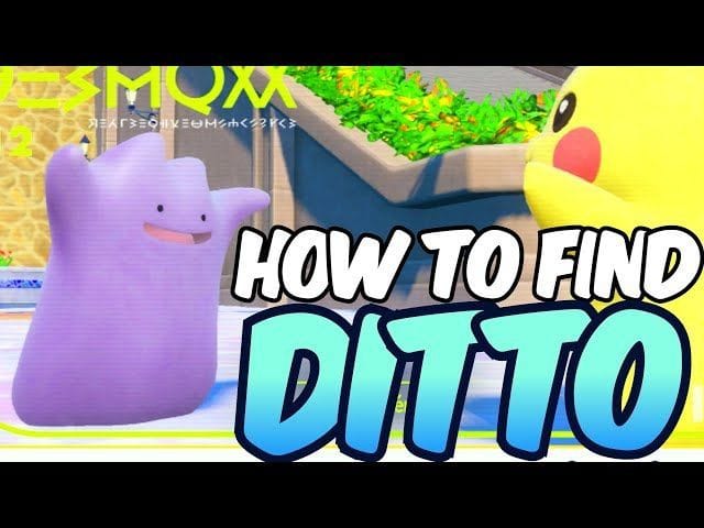 Where to find and catch Ditto in Pokemon Scarlet and Violet