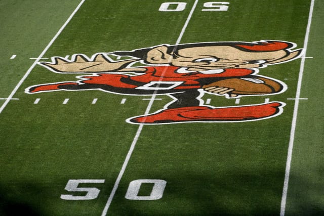 Who is the Cleveland Browns' mascot, Brownie the Elf?
