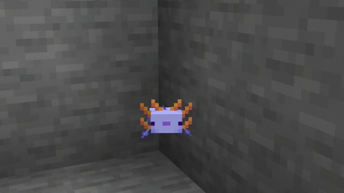 How to get rarest axolotl in Minecraft 1.19