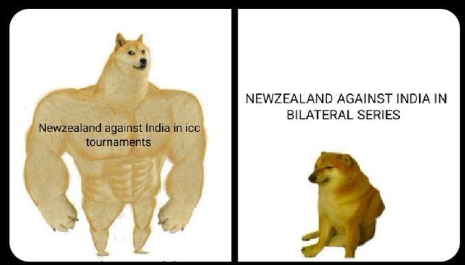 "Bilateral kings"- Top 10 funny memes as Team India win T20I series ...