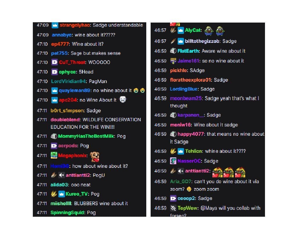 "I'm still a part-time streamer" - Maya Higa shares plans following the ...