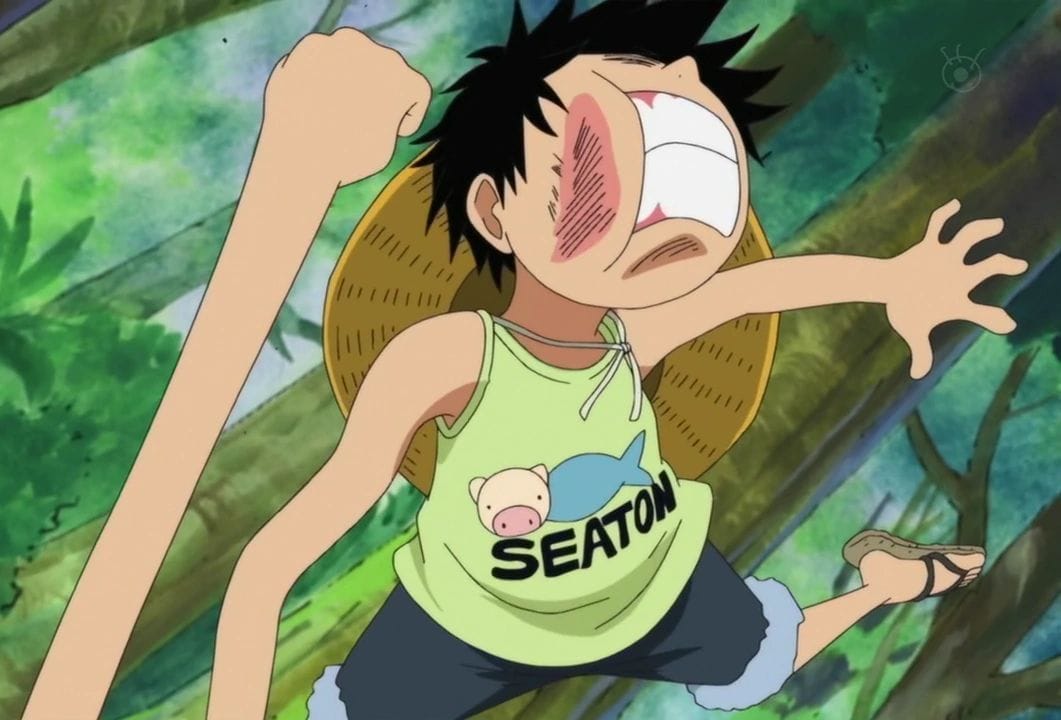 Gomu Gomu no Mi Devil Fruit in One Piece