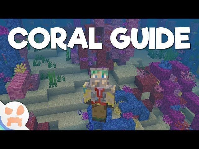 How to keep coral blocks alive in Minecraft