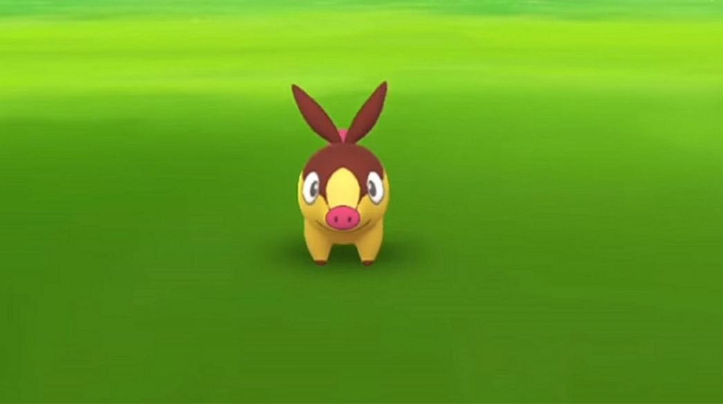 Can Tepig be shiny in Pokemon GO? (November 2022)