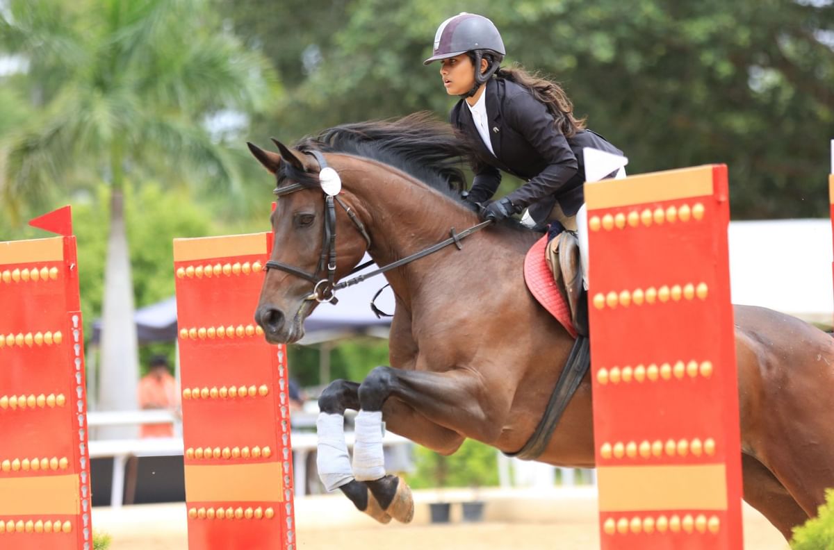 "I am confident that in the next five years, more than one Indian horse ...