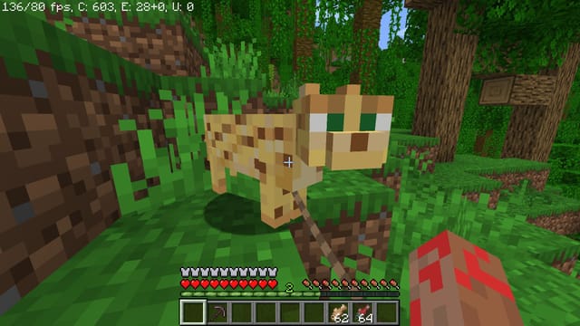 5 rarest animals in Minecraft 1.19