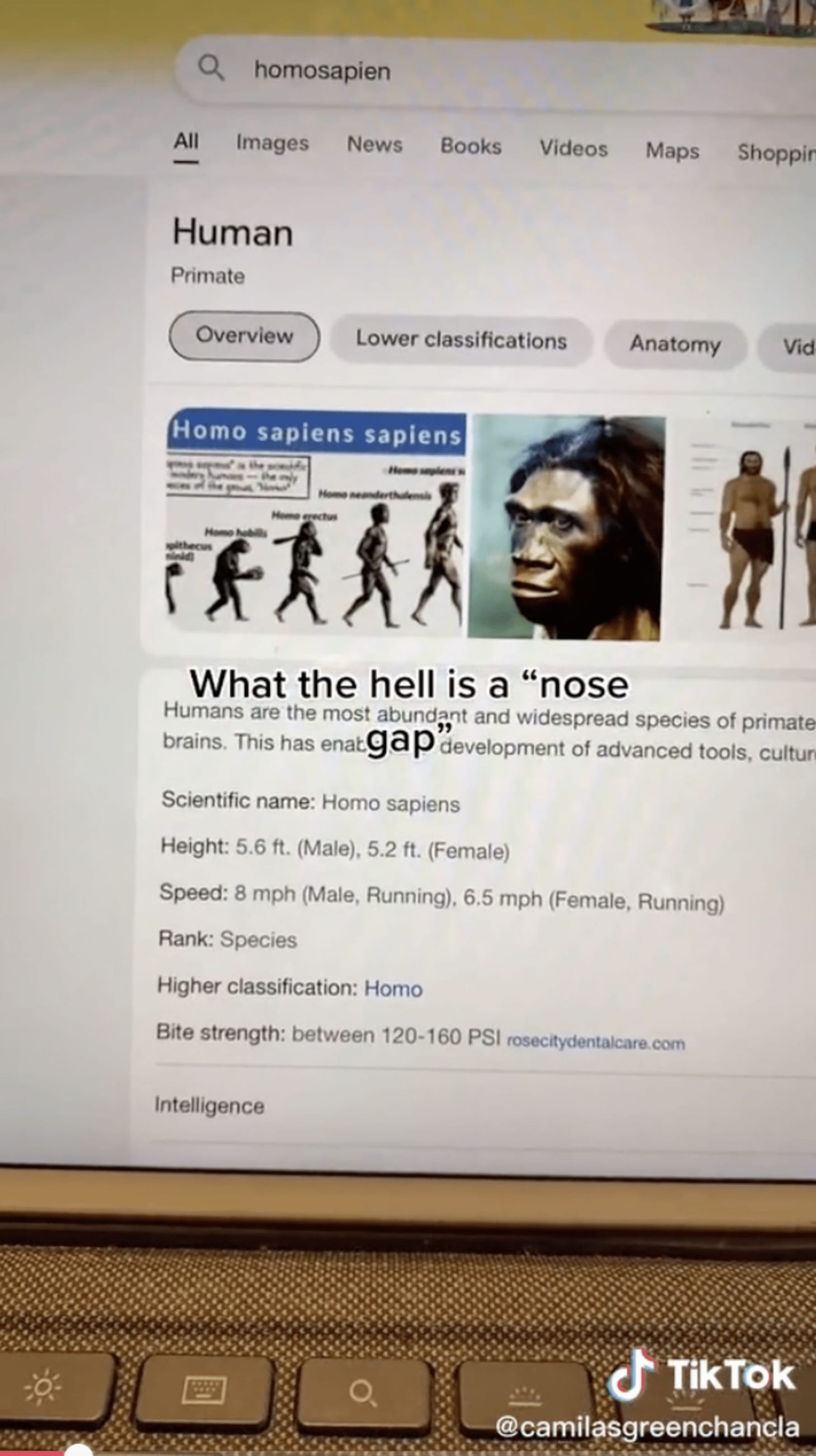 What is a nose gap? Viral TikTok trend explained