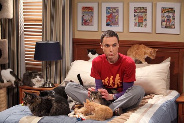 How did Sheldon Cooper win the Nobel Prize?