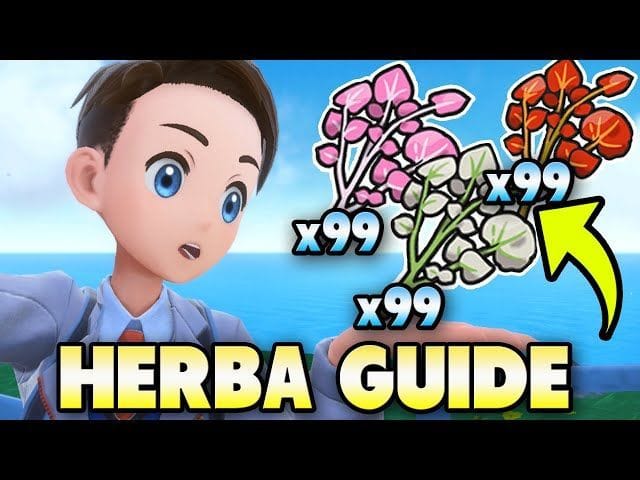 All Raid Power Sandwiches and their recipes in Pokemon Scarlet and Violet