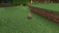 How to get and use rabbit's foot in Minecraft