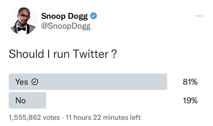 "Rebrand as tWEEDter": Snoop Dogg asks if he should run Twitter amid ...