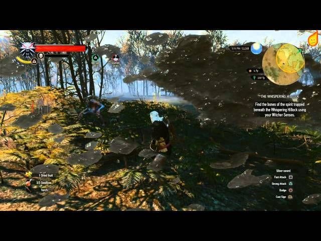 How to complete The Whispering Hillock quest in The Witcher 3 Next Gen