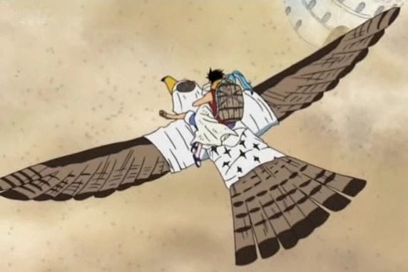 Tori Tori no Mi, Model: Falcon in One Piece