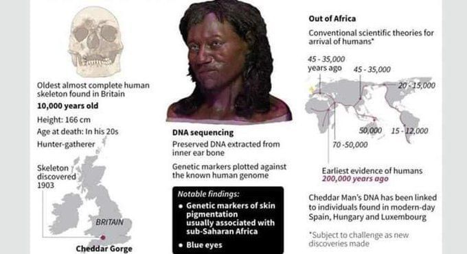 Cheddar Man: Who is the Cheddar Man? Mesolithic skeleton shares DNA ...