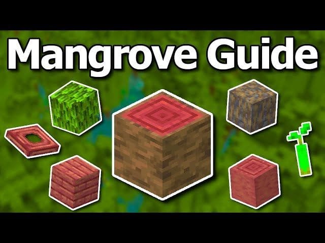 How to find and grow mangrove trees in Minecraft