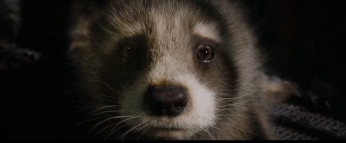 ''Leave Rocket alone'': Marvel fans worry for Rocket in new Guardians ...
