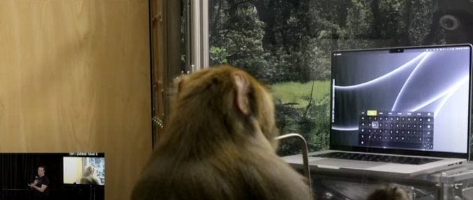 Elon Musk and Neuralink 3000 monkeys claim explored amid human trial ...