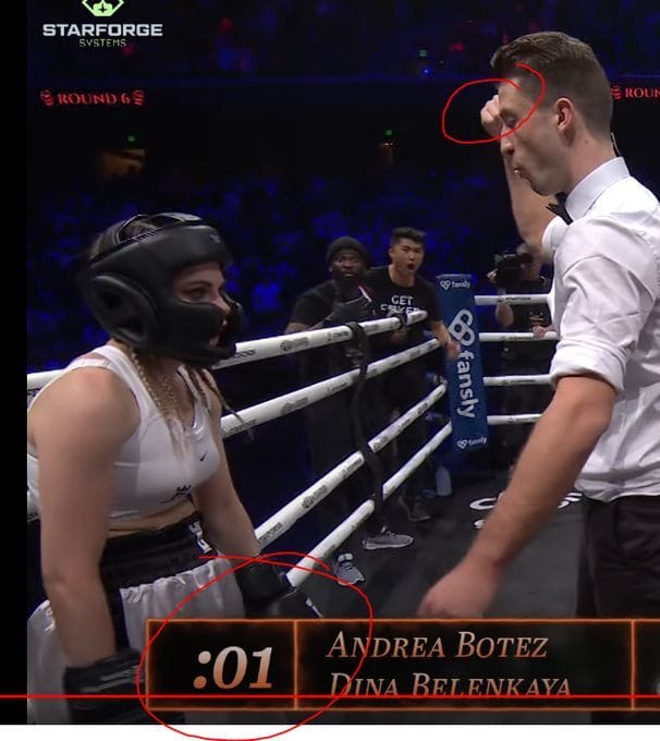 chessboxing: 5 most memorable moments from Ludwig's Mogul Chessboxing ...