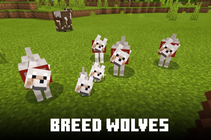 How to breed wolves in Minecraft 1.19
