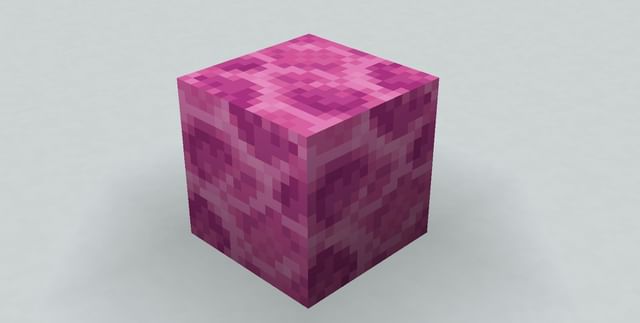Brain Coral Block in Minecraft