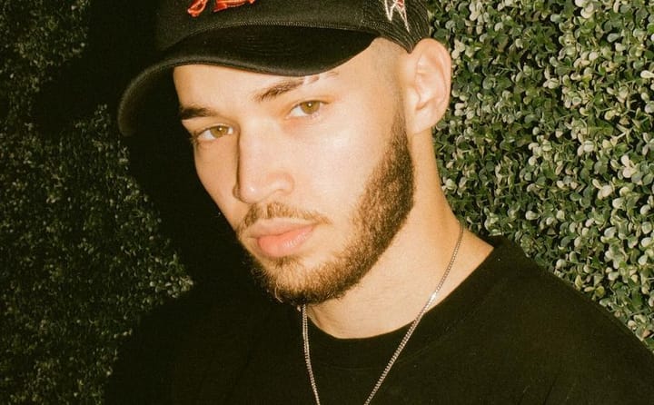 What is Adin Ross's net worth?