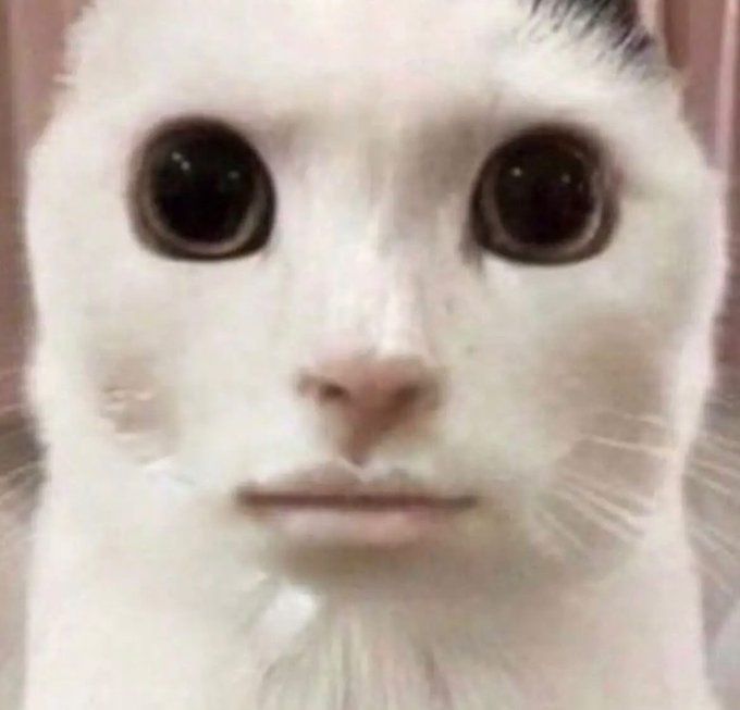 “Had hoped to see a trailer": Fans react to GTA+ benefits reveal by ...