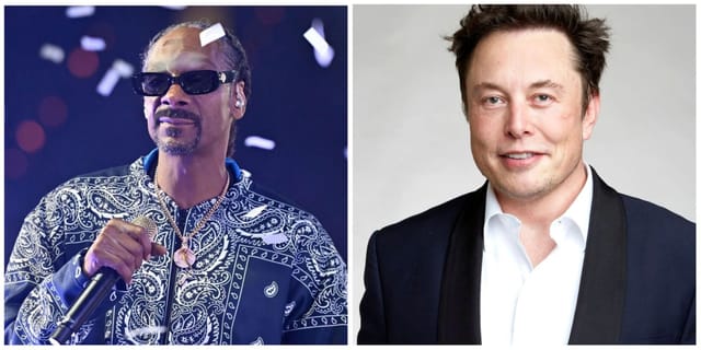 "Rebrand as tWEEDter": Snoop Dogg asks if he should run Twitter amid ...