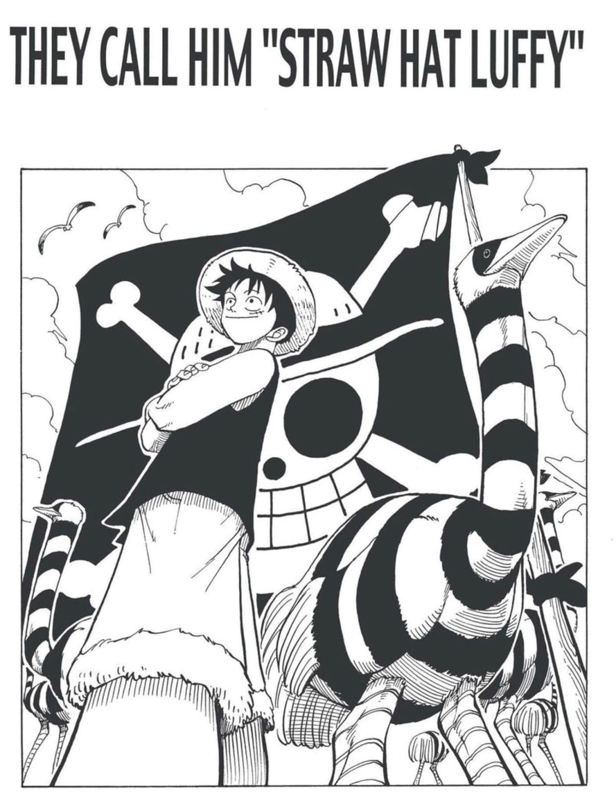 Who gave Luffy his hat?