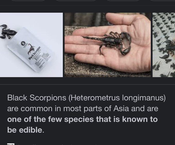 IShowSpeed goes viral after eating a scorpion on stream, calls "911" in ...