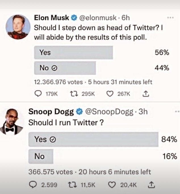 "Rebrand as tWEEDter": Snoop Dogg asks if he should run Twitter amid ...