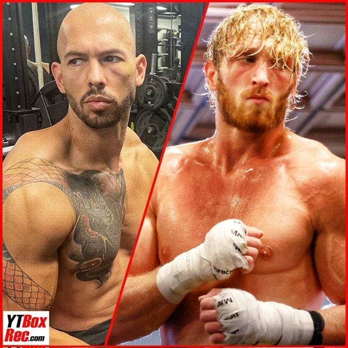WWE: Andrew Tate vs Logan Paul: Who has the higher net worth?