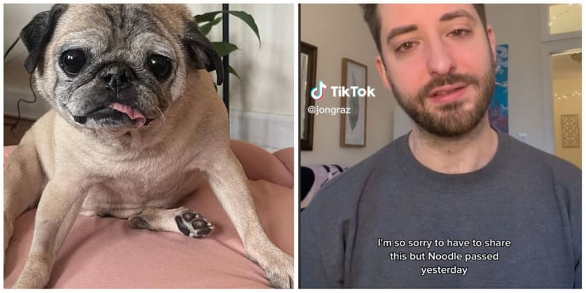 What happened to Noodle the Pug? TikTok sensation known for 'Bones or ...