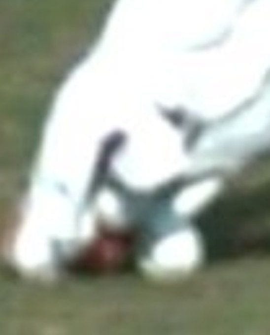 "That's not out even if in 'One Tip One Hand'" - Fans slam third umpire ...