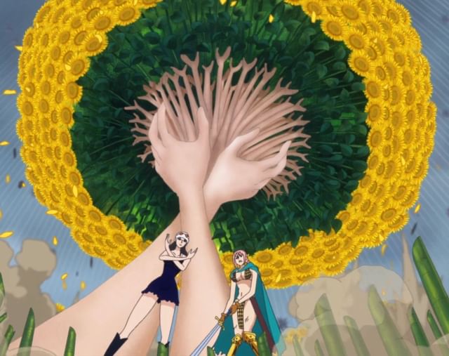 Hana Hana no Mi in One Piece