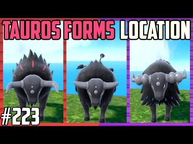 Pokemon Scarlet and Violet: Best Tauros (Combat Breed) PvP Build