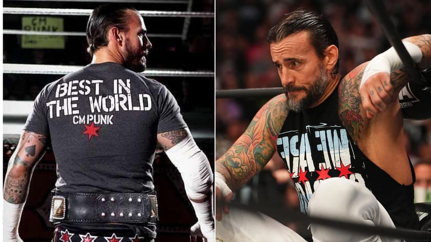Wwe Cm Punk 2022