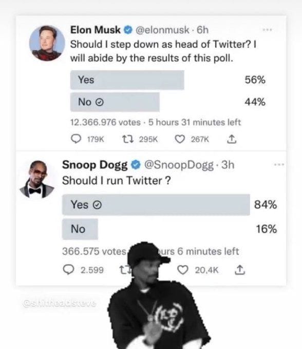 "Rebrand as tWEEDter": Snoop Dogg asks if he should run Twitter amid ...